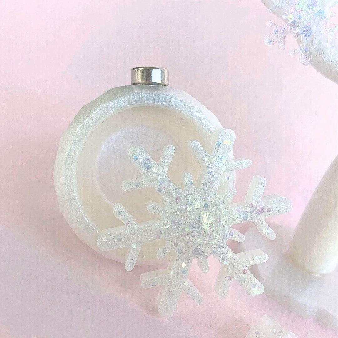 Jumping Spider Snowflake Hide | Winter in Wonderland | Snow Winter ...