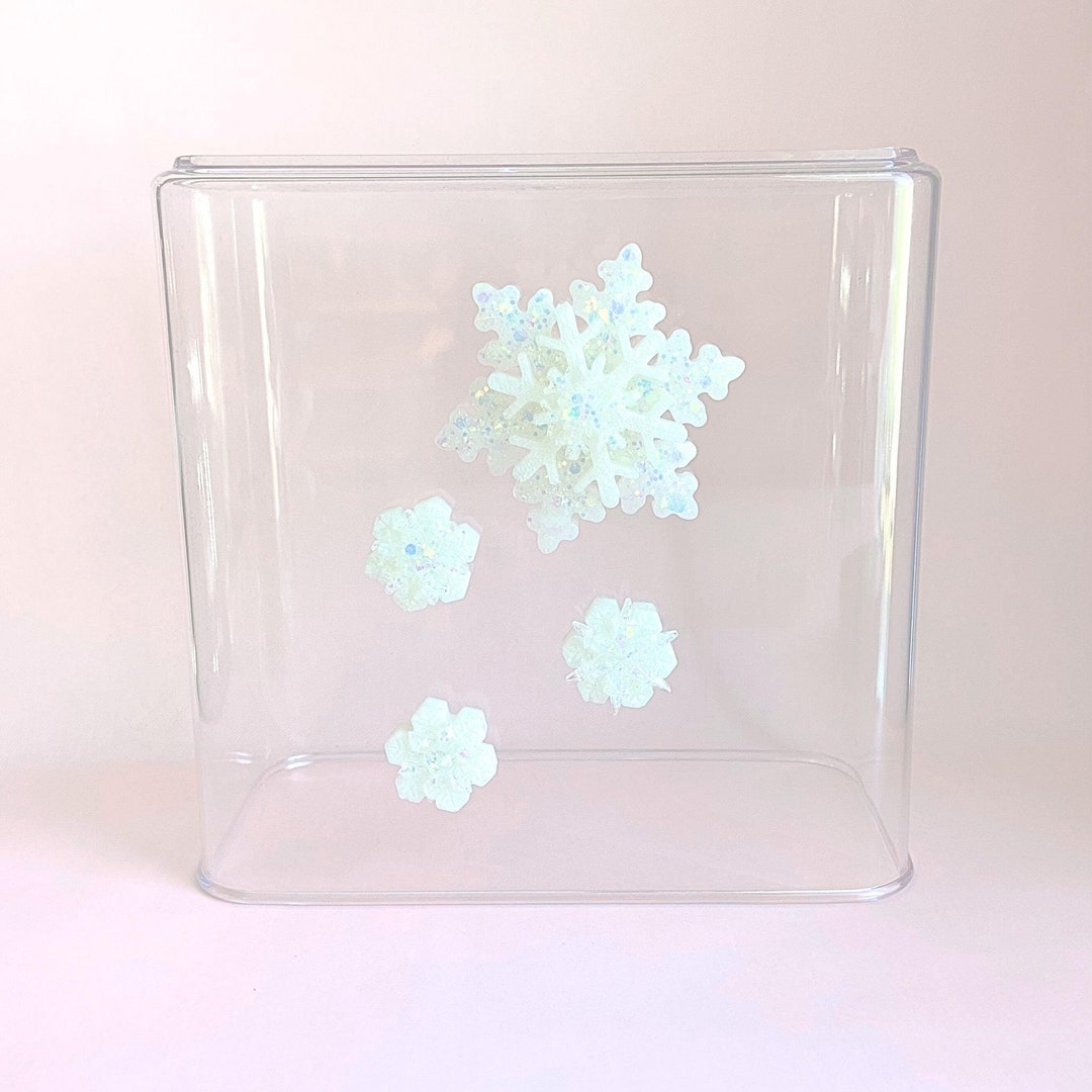 Magnetic Jumping Spider Snowflake Ledges | Winter in Wonderland | Snow ...