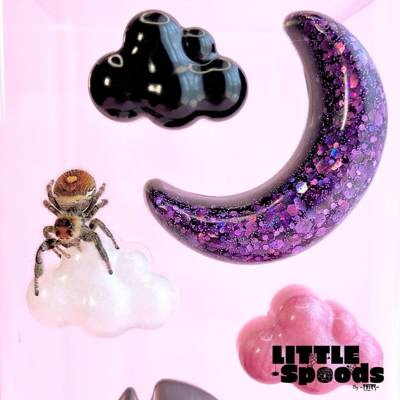 Jumping Spider Magnetic Moon & Cloud Ledges | Jumping Spider ...
