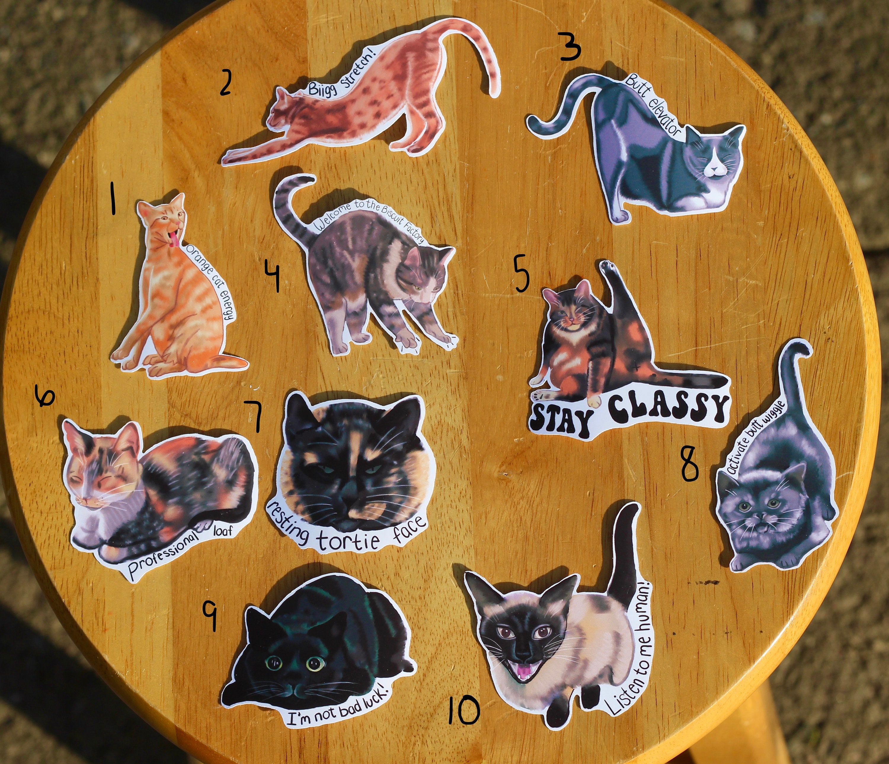 Cat Stickers, Funny Cat Stickers, Pet Stickers, Hand-drawn Stickers ...