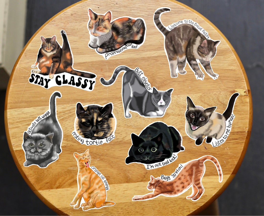 Cat Stickers, Funny Cat Stickers, Pet Stickers, Hand-drawn Stickers ...