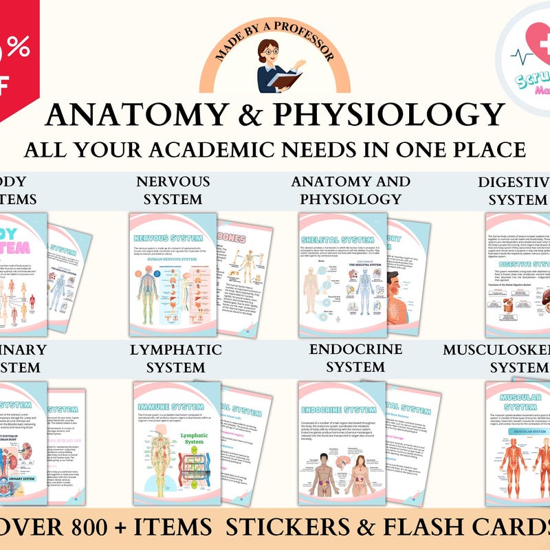 Anatomy Drawing - Etsy