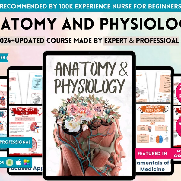 Anatomy Flashcards - Etsy