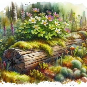 Log in Woods Clip Art 10 High Res Watercolor Jpgs for Junk Journaling ...