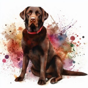 Chocolate Lab Clip Art 10 High Res Watercolor Jpgs for Junk Journaling ...