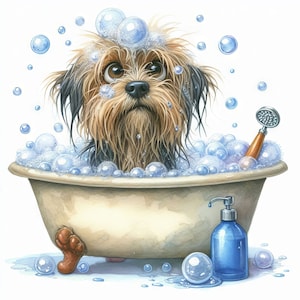 Frazzled Dog in Bubble Bath Clip Art 10 High Res Watercolor Jpgs ...