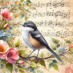 Songbirds Clip Art 10 High Res Watercolor Jpgs for Junk Journaling ...