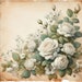 White Rose Paper Clip Art 10 High Res Watercolor Jpgs for Junk ...