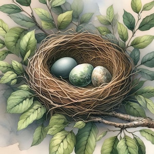 Bird's Nest With Eggs Clip Art Bundle 10 High Res Watercolor Jpgs for ...