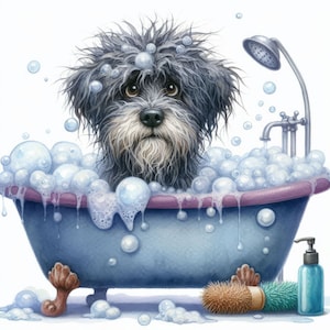 Frazzled Dog in Bubble Bath Clip Art 10 High Res Watercolor Jpgs ...
