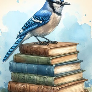 Birds and Books Clip Art Bundle 10 High Res Watercolor Jpgs for Junk ...