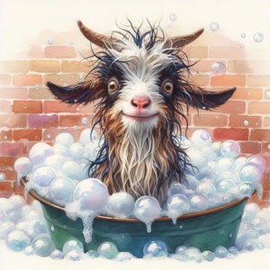 Frazzled Goat in Bubble Bath Clip Art 10 High Res Watercolor Jpgs Junk ...