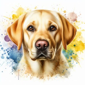 Yellow Lab Clip Art 10 High Res Watercolor Jpgs for Junk Journaling ...