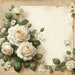 White Rose Paper Clip Art 10 High Res Watercolor Jpgs for Junk ...