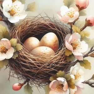 Bird's Nest With Eggs Clip Art Bundle 10 High Res Watercolor Jpgs for ...