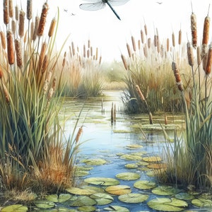 Cattails and Dragonflies Clip Art Kit 10 High Res Watercolor Jpgs for ...