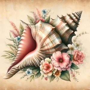 Conch Shell: Clip Art, 10 High Res Watercolor Jpgs, Junk Journaling ...