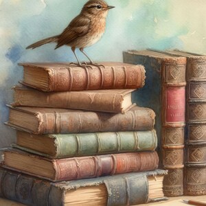 Birds and Books Clip Art Bundle 10 High Res Watercolor Jpgs for Junk ...