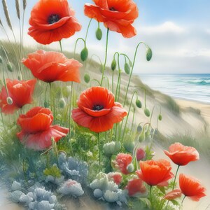 Sand Dune Poppies Clip Art Bundle 10 High Res Watercolor Jpgs for Junk ...