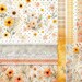 Yellow Calico Paper Clip Art Bundle 10 High Res Watercolor Jpgs for ...