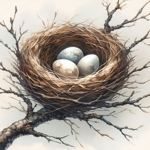 Bird's Nest With Eggs Clip Art Bundle 10 High Res Watercolor Jpgs for ...