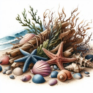 Ocean Treasures Clip Art Bundle 10 High Res Watercolor Jpgs for Junk ...