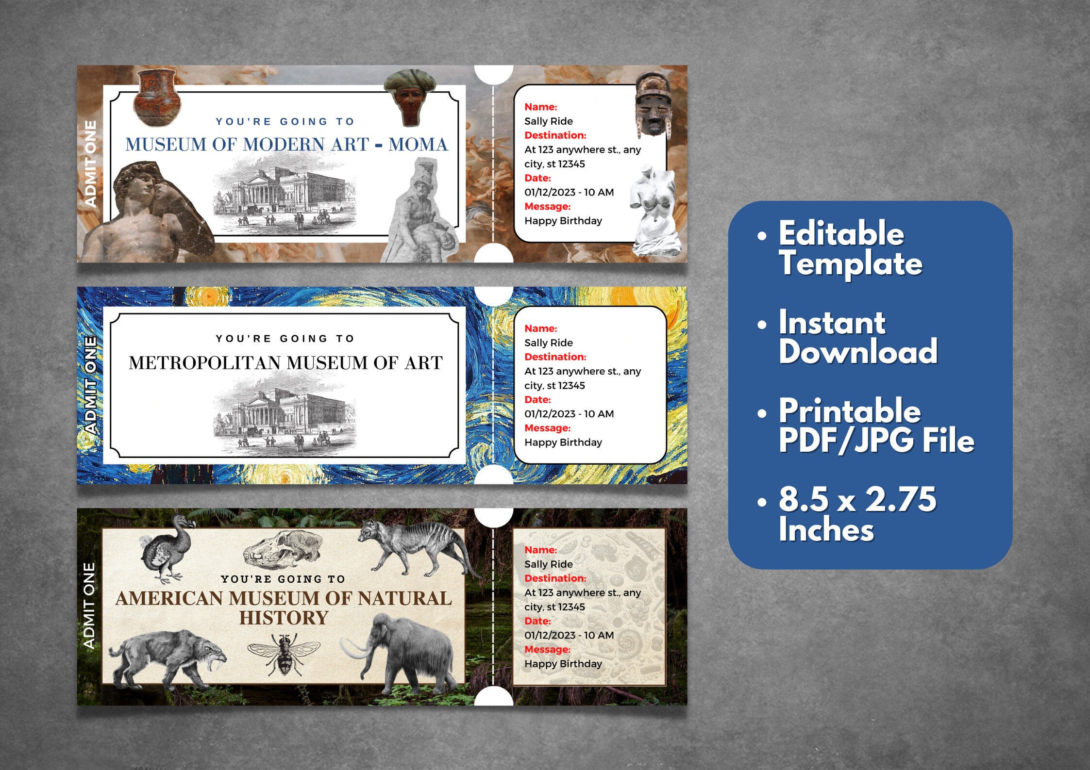 Editable Museum Ticket Template, Printable Museum Voucher Template, Day ...