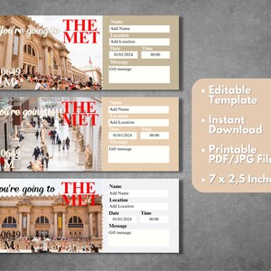 Editable MET Museum Ticket Template, Surprise Trip Gift (digital ...