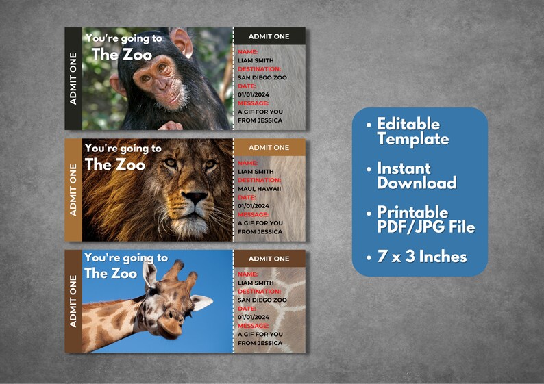 Editable Surprise Zoo Tickets Template, Printable Zoo Trip Gift Ticket ...