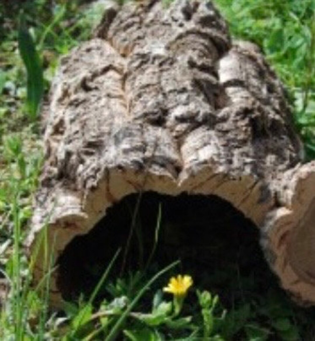 Cork Tube (30cm/unit) - Etsy