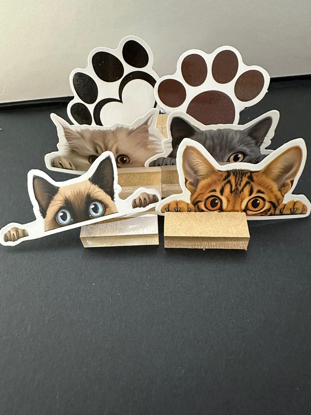 Assorted Cats & Paws Stickers – 10 Pack for an Affordable Price! - Etsy