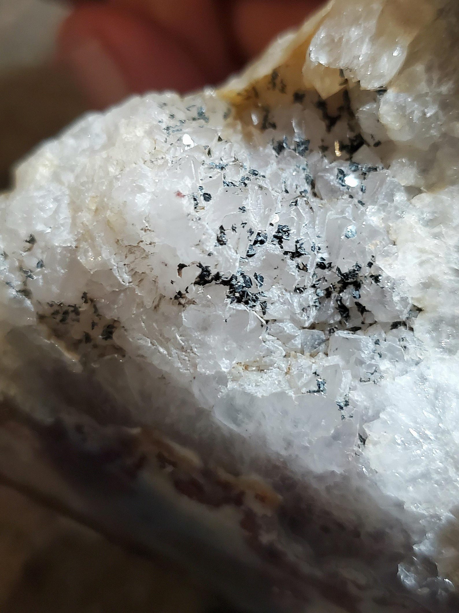 Rare Tennessee Paint Rock Agate Specimen: Polished Freeform Agate ...