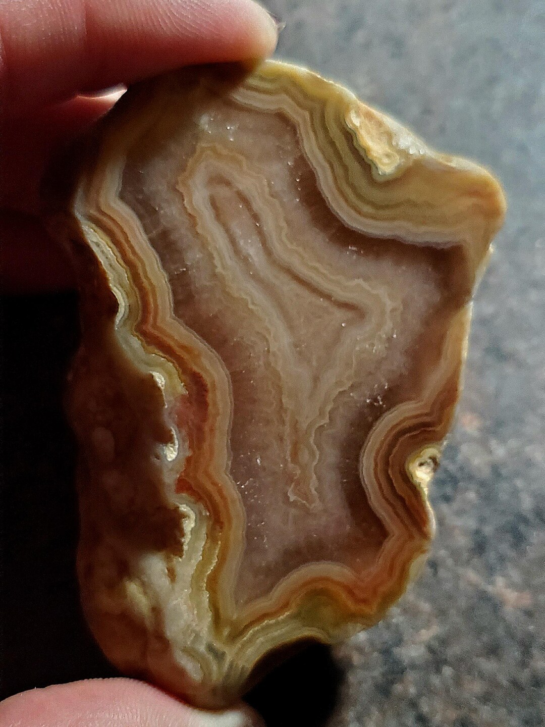 Incredible Crowley Ridge Agate. 1/2 Cut and Polished by Me. - Etsy