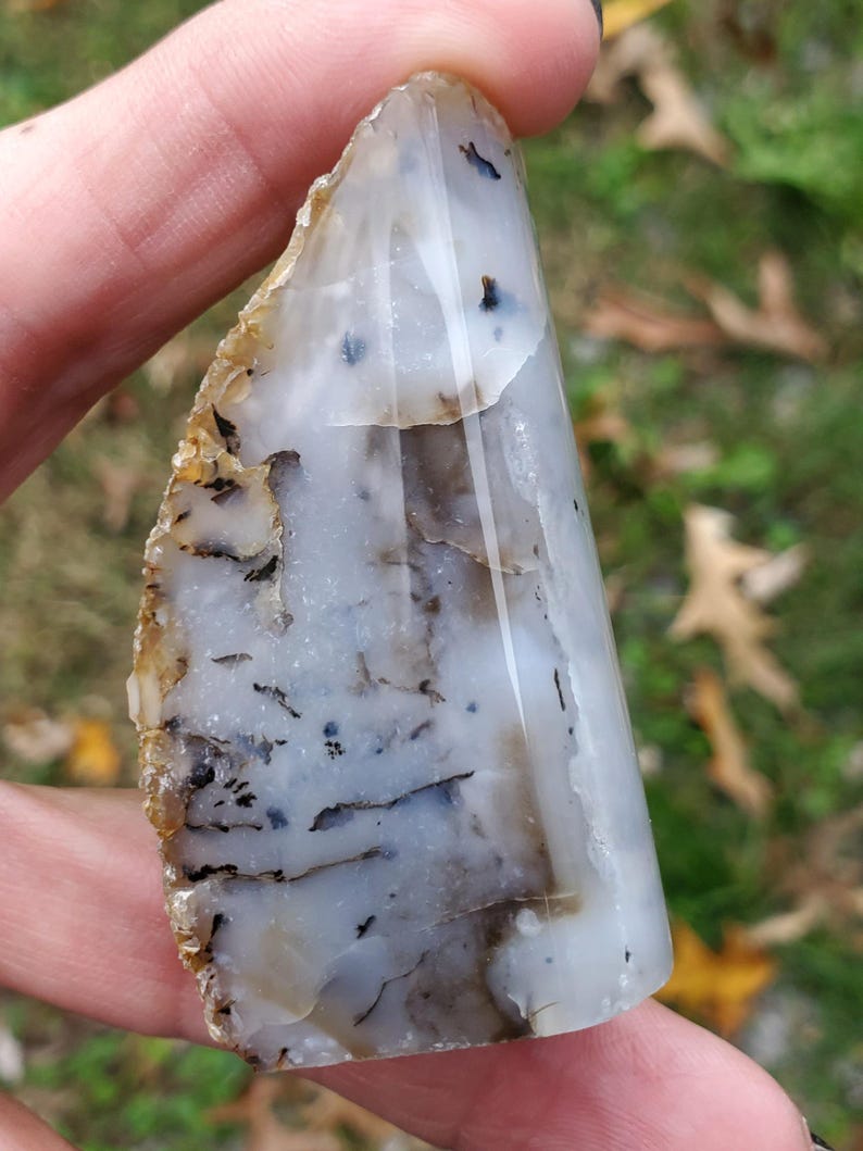 Spotted Montana Moss Agate Specimen: Freeform Cut & Polished - Etsy