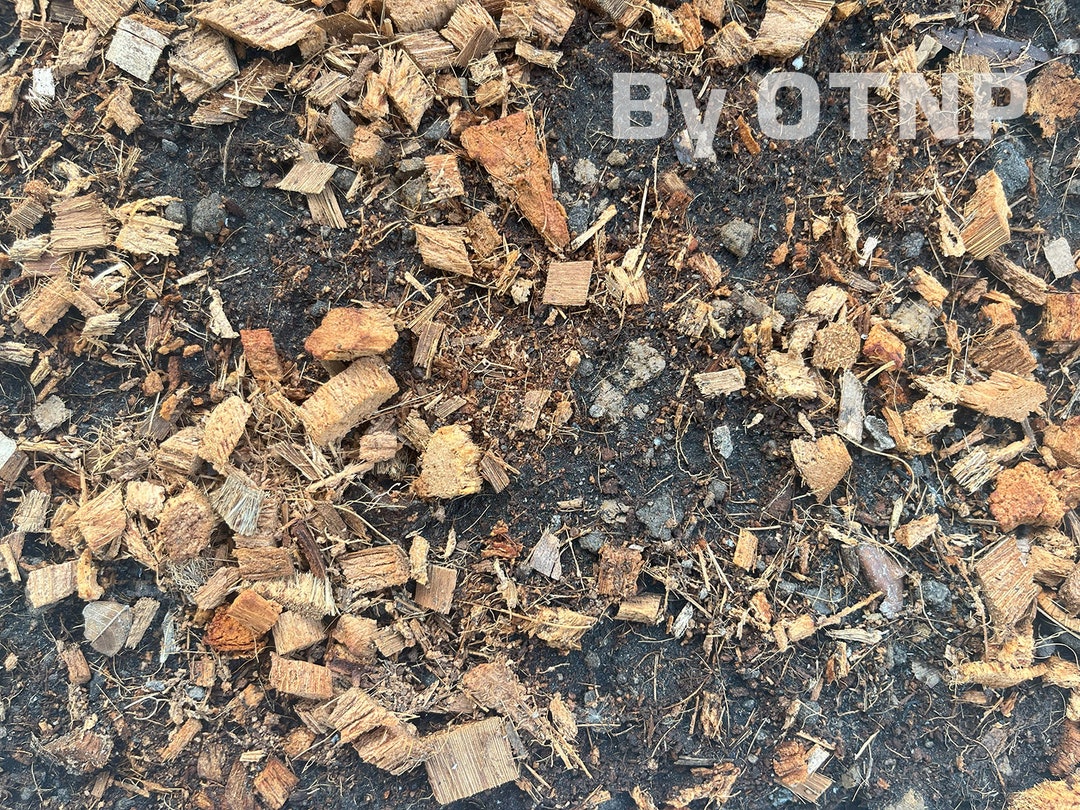 Soil Surface With Coconut Pulp Photo, Ground Surface With Coconut Coir ...