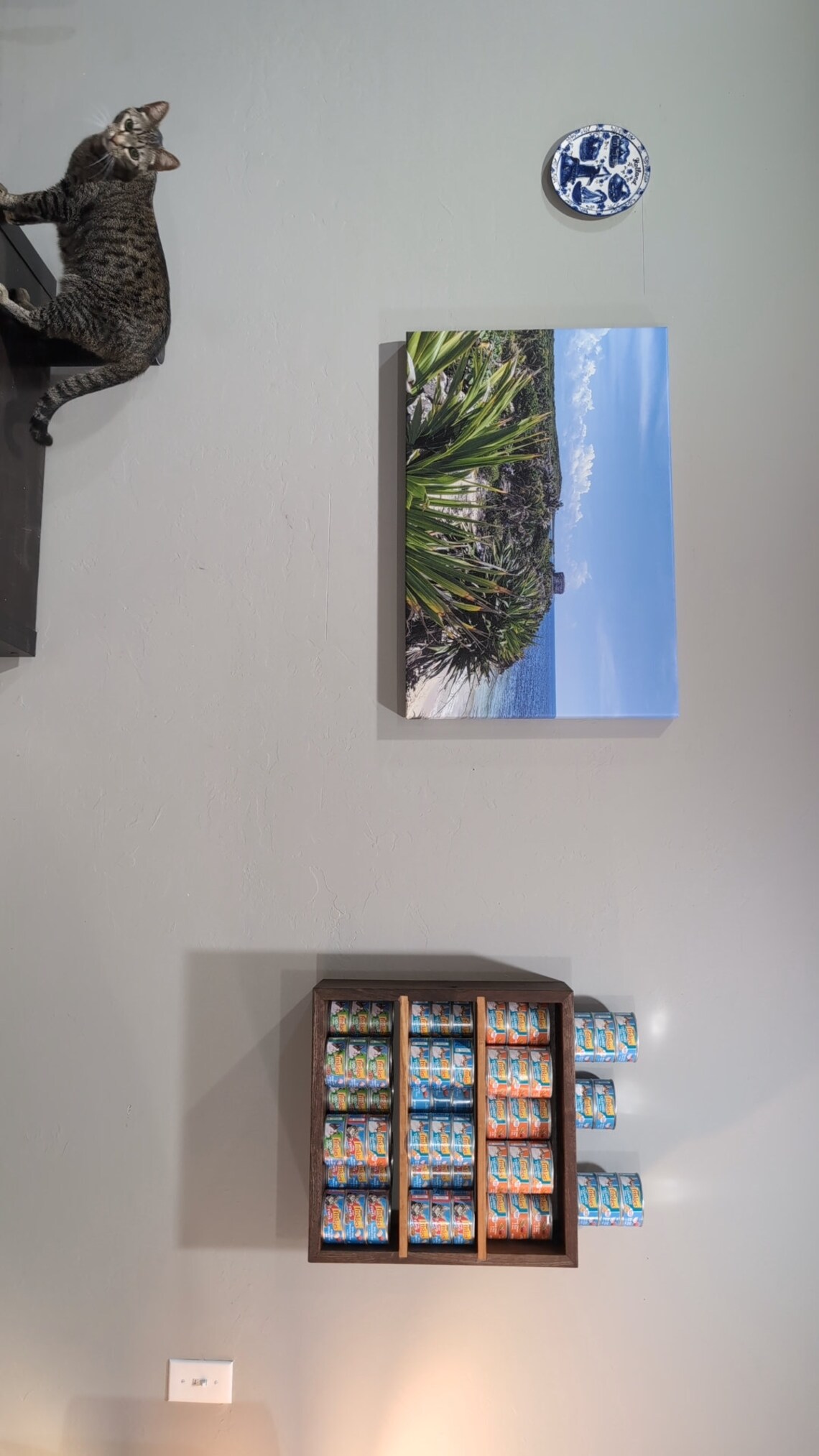Hardwood Display Shelf Walnut and Cherry - Etsy