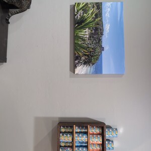 Hardwood Display Shelf Walnut and Cherry - Etsy