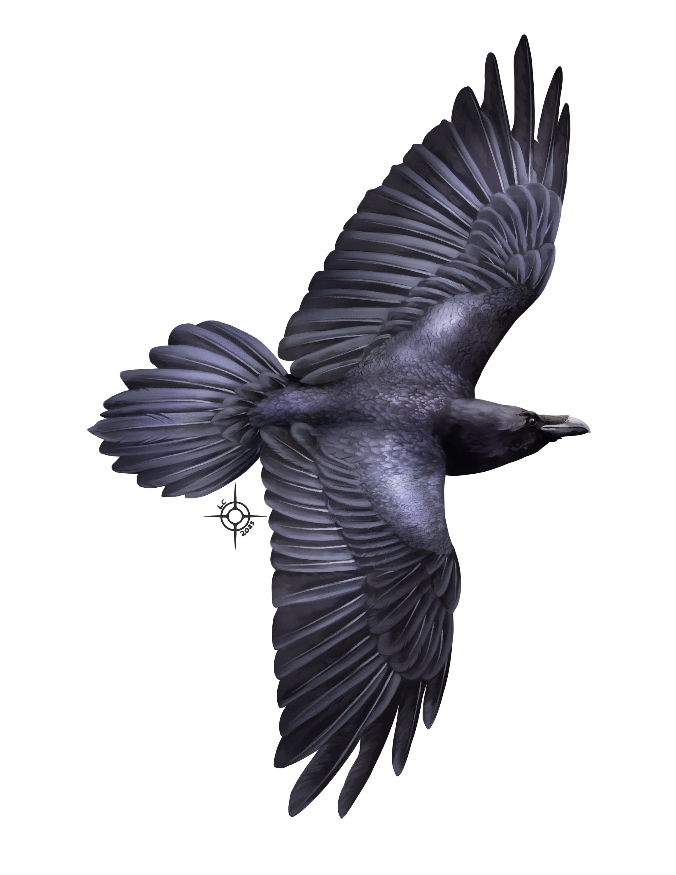 Raven Art Print 11x17 - Etsy