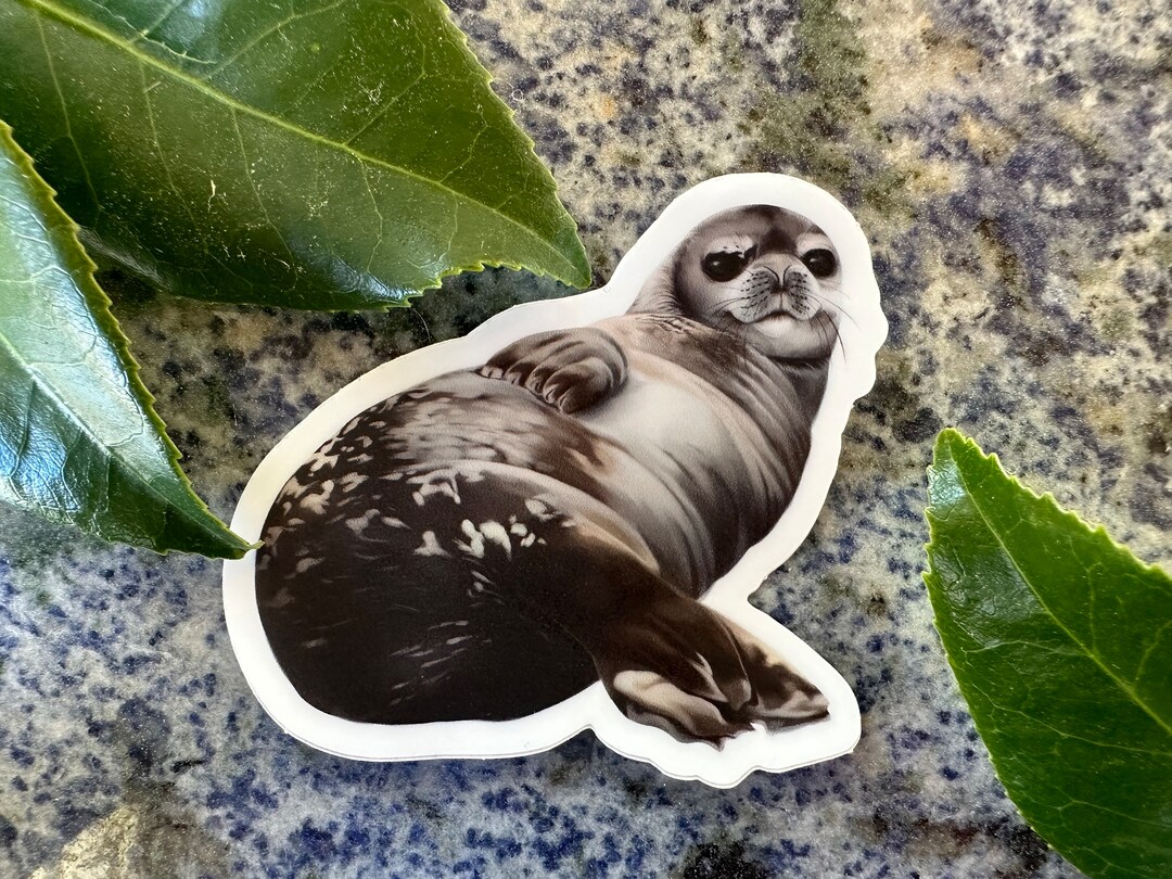 Sassy Seal Vinyl Sticker - Etsy