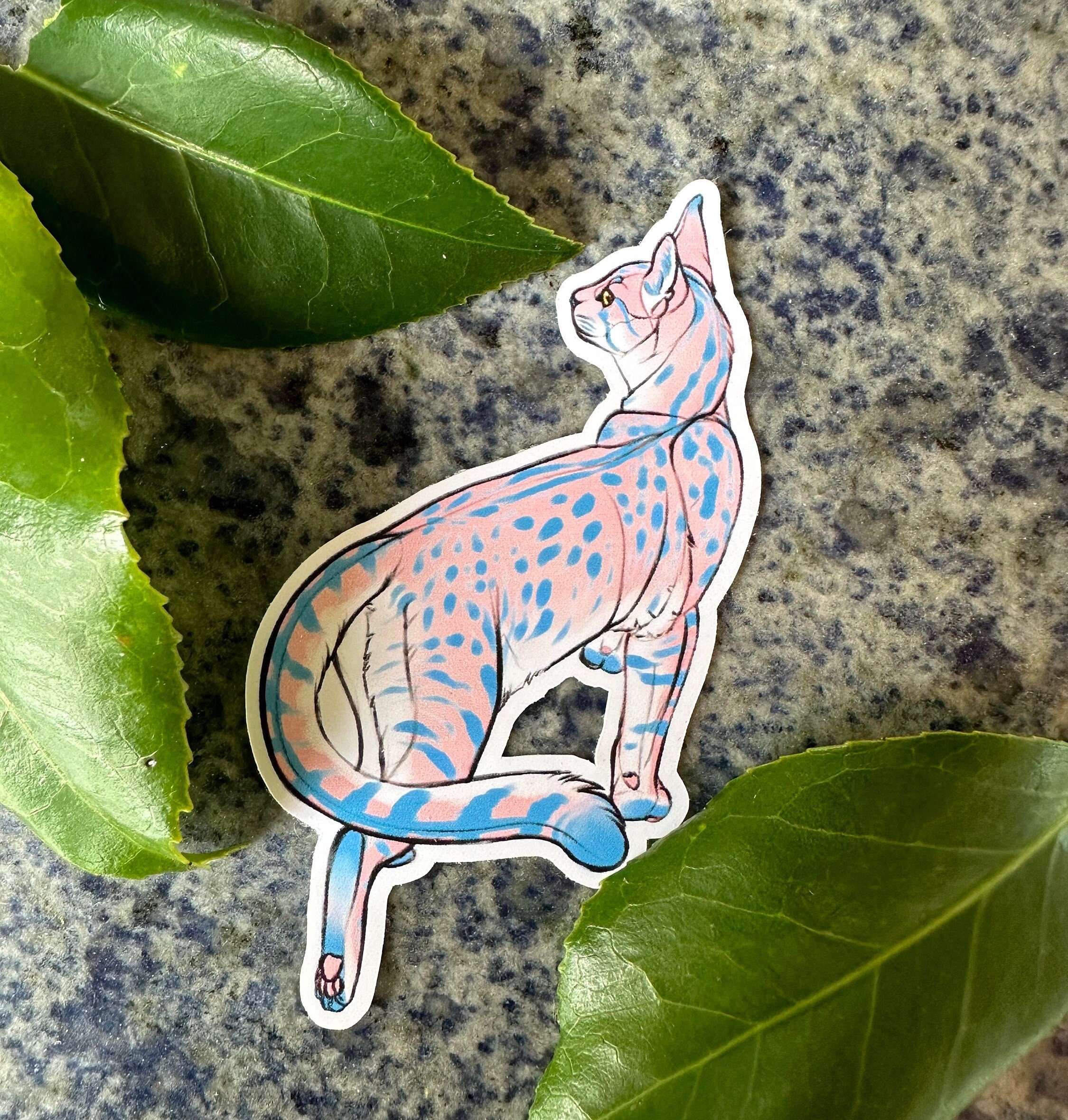 Pride Cat Vinyl Sticker: Transgender Tabby - Etsy
