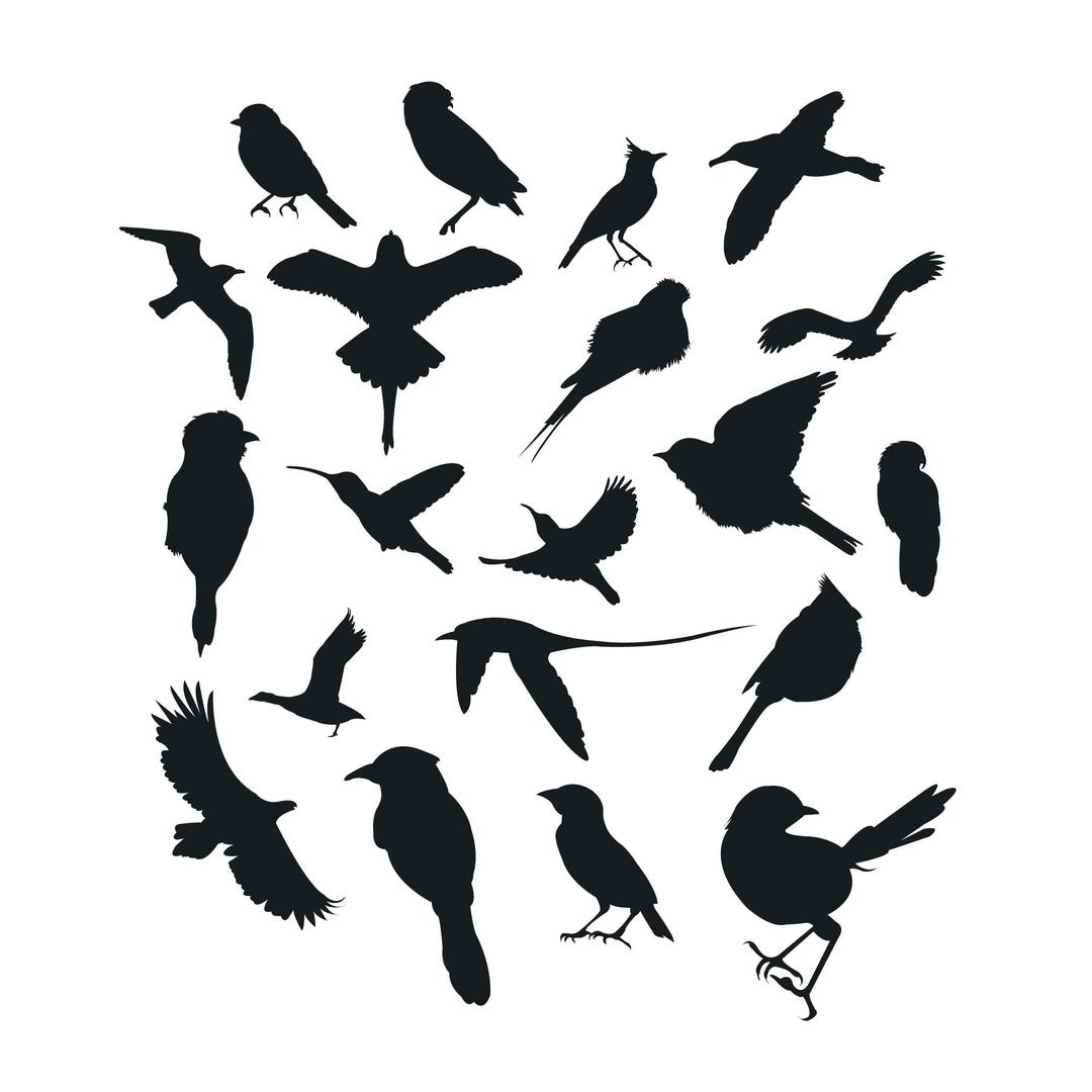 Birds SVG | Birds SVG Download | Birds Svg File | Cricut File | Cricut ...