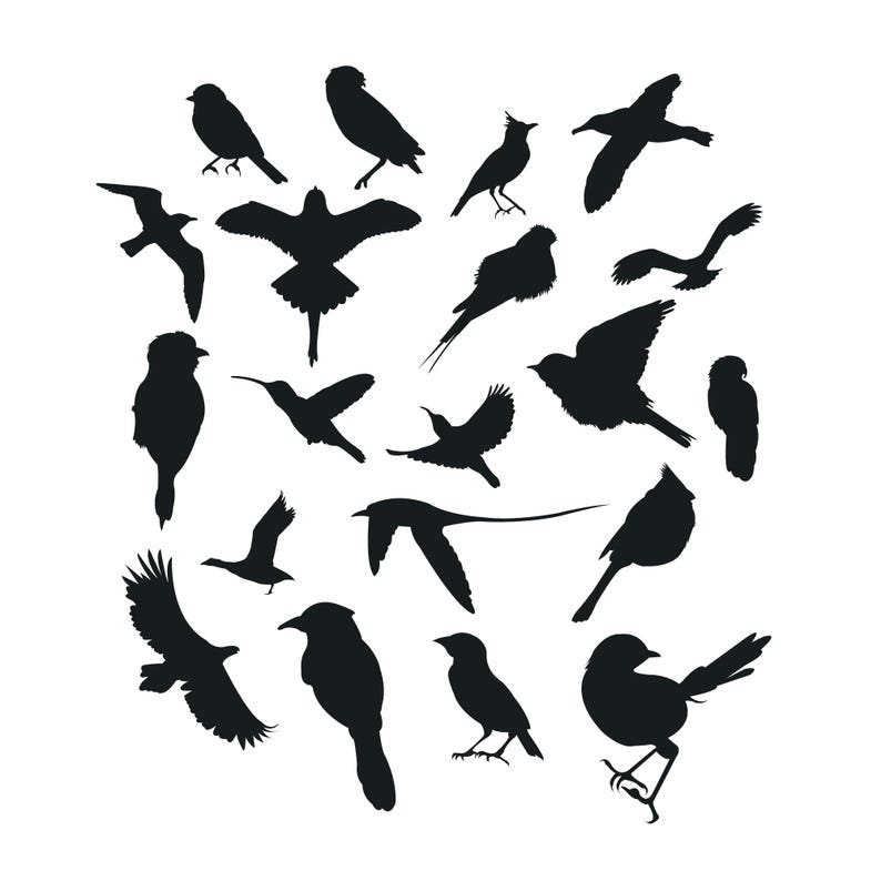 Birds SVG Birds SVG Download Birds Svg File Cricut File Cricut Svg ...