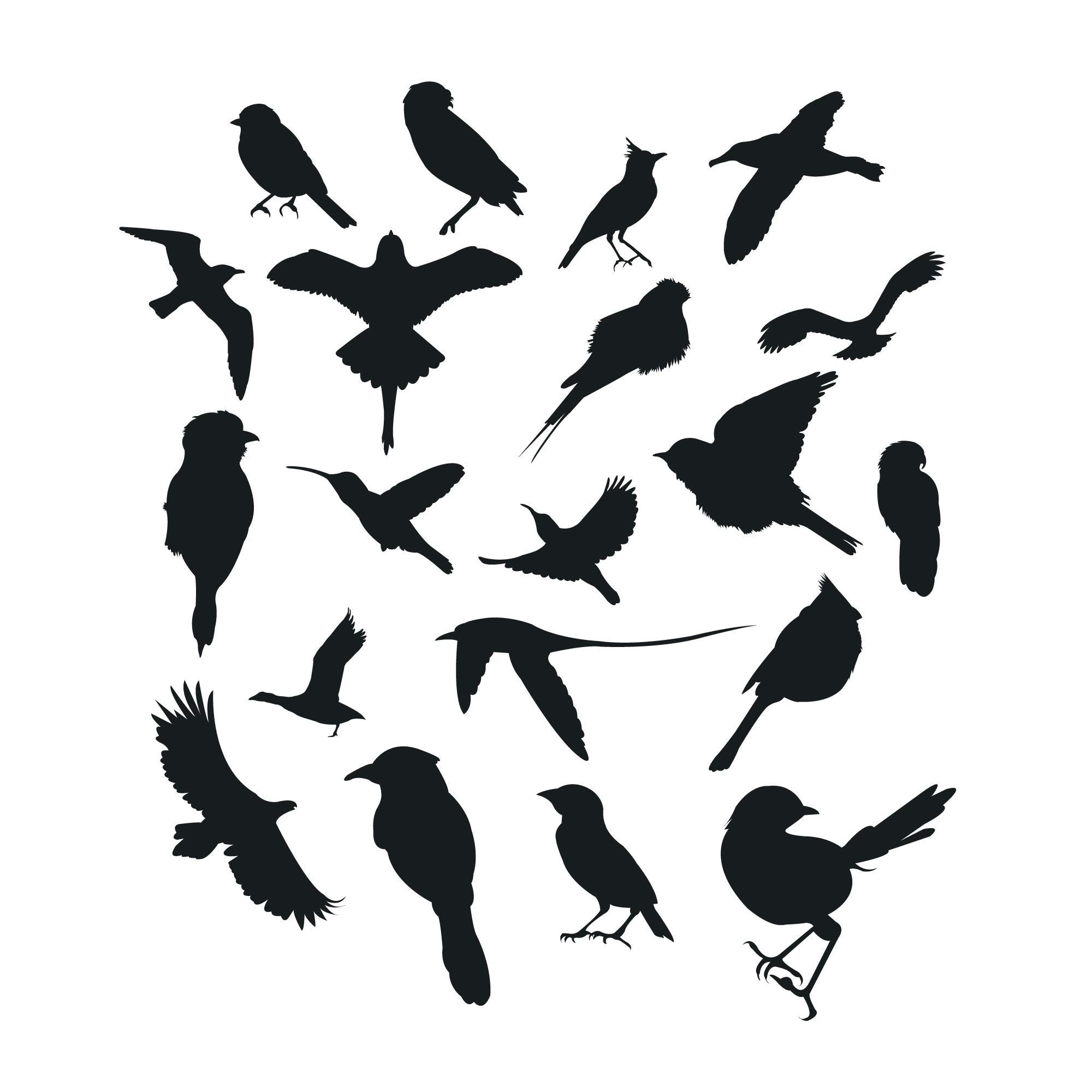 Birds SVG | Birds SVG Download | Birds Svg File | Cricut File | Cricut ...