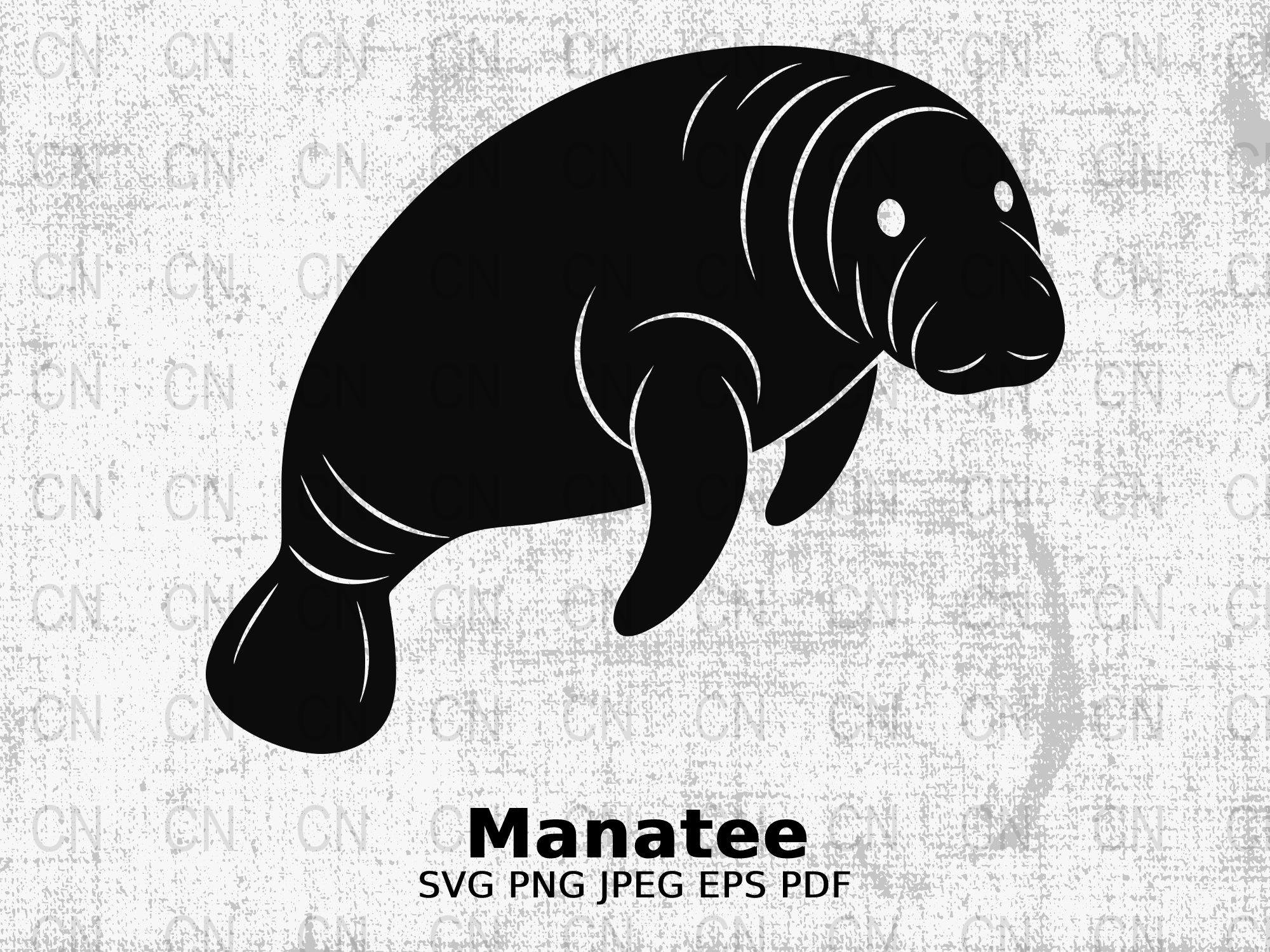 Manatee Svg Png Jpeg Dxf, Vector Cutting Files for Silhouette Cameo ...