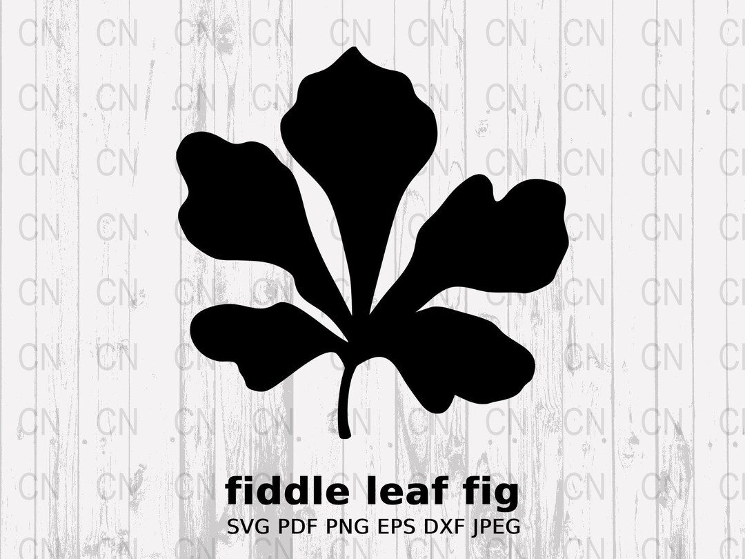 Fiddle Leaf Fig Silhouette SVG, Tropical Plant Clipart, Botanical ...