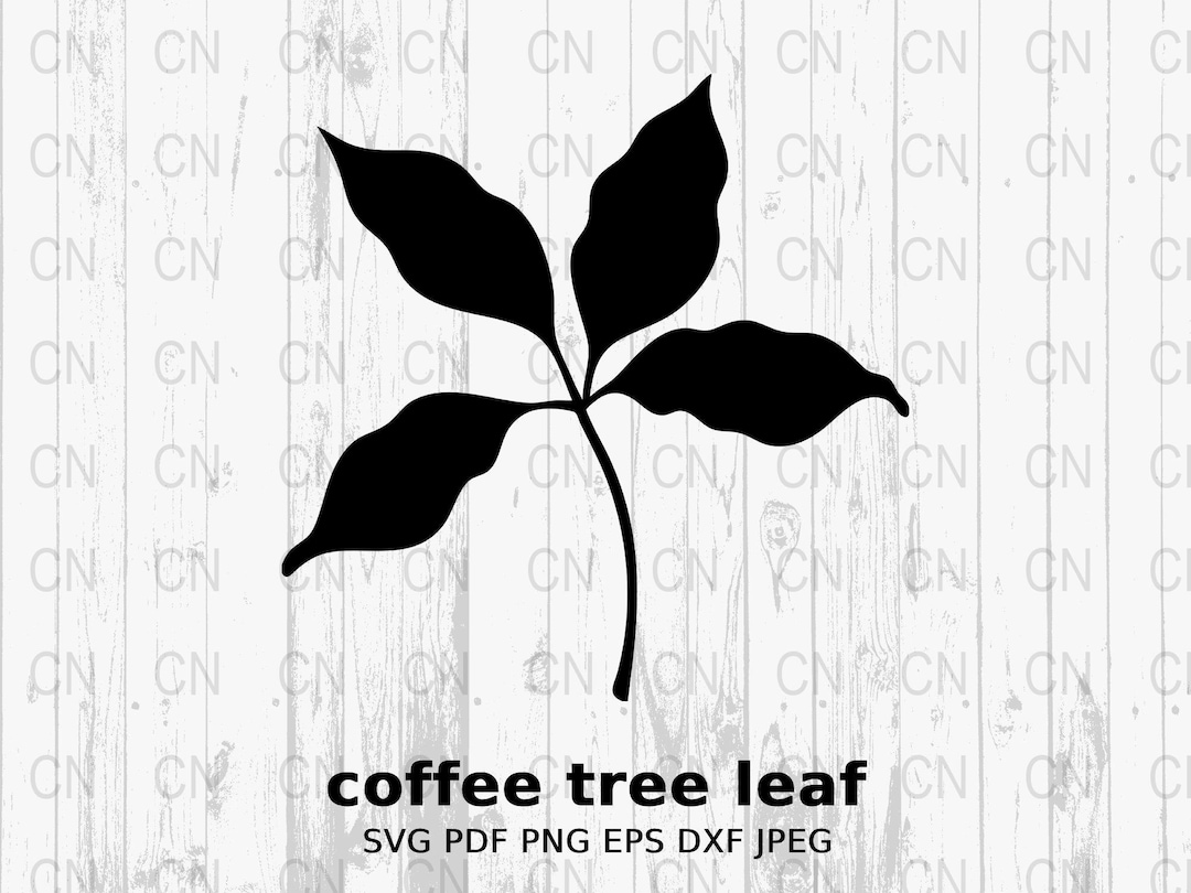 Coffee Tree Leaf Silhouette SVG, Coffee Plant Leaf Clipart, Botanical ...