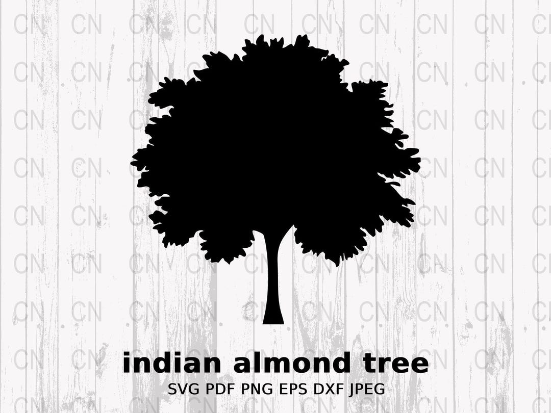 Indian Almond Tree Silhouette SVG, Tropical Tree Clipart, Nature Vector ...