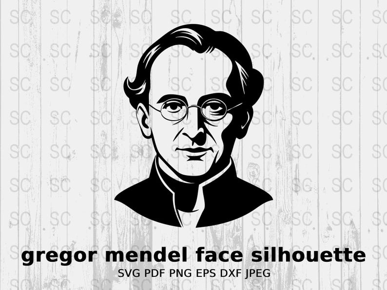 Gregor Mendel Face Silhouette SVG, Geneticist Portrait Clipart ...