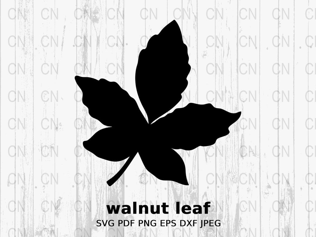 Walnut Leaf Silhouette SVG, Nut Tree Leaf Clipart, Botanical Vector ...