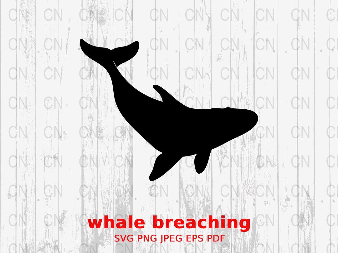 Whale Breaching SVG, Marine Animal Silhouette, Ocean Clipart, Wildlife ...